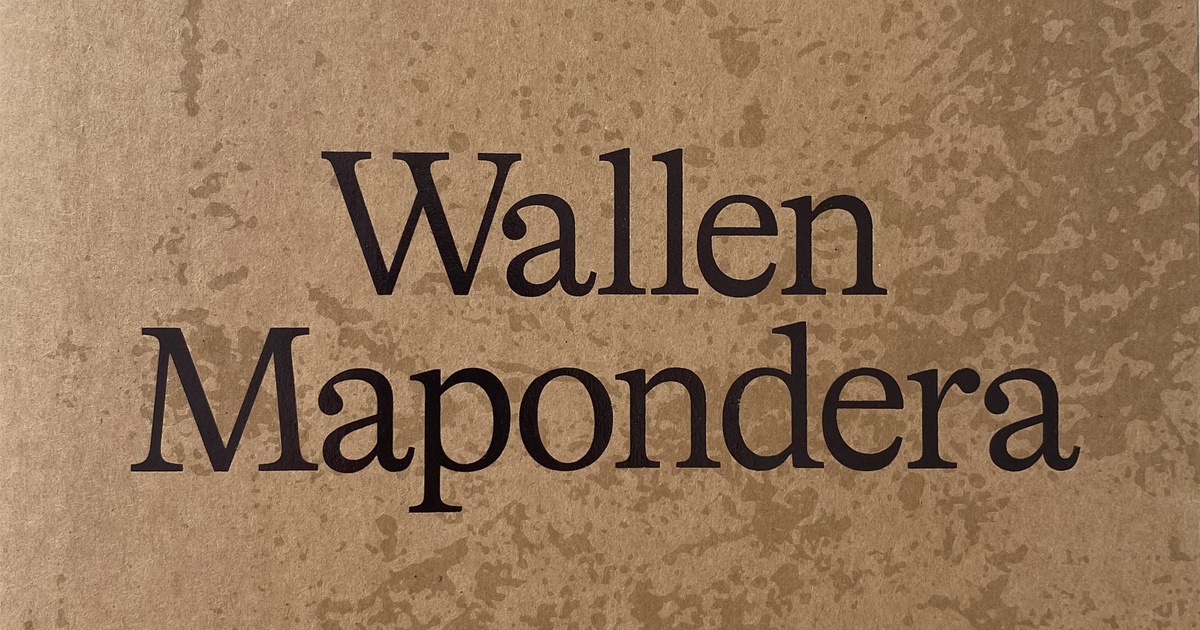 Publication: Wallen Mapondera - Selected Works | Mitterrand